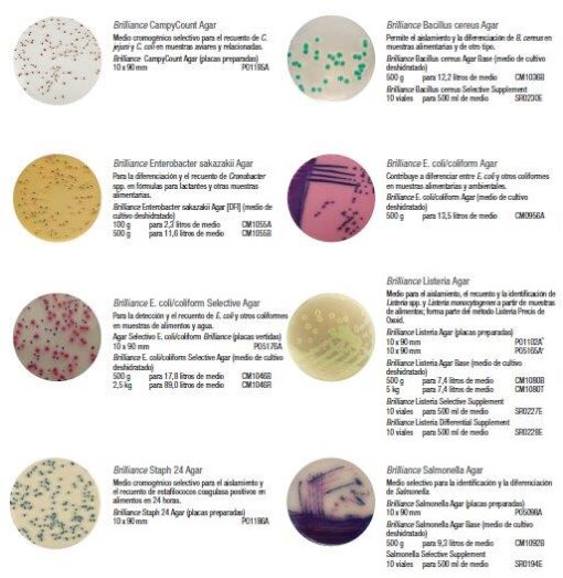 Medios de cultivo - Aislamiento Microbiano - Oxoid Remel - PV Equip